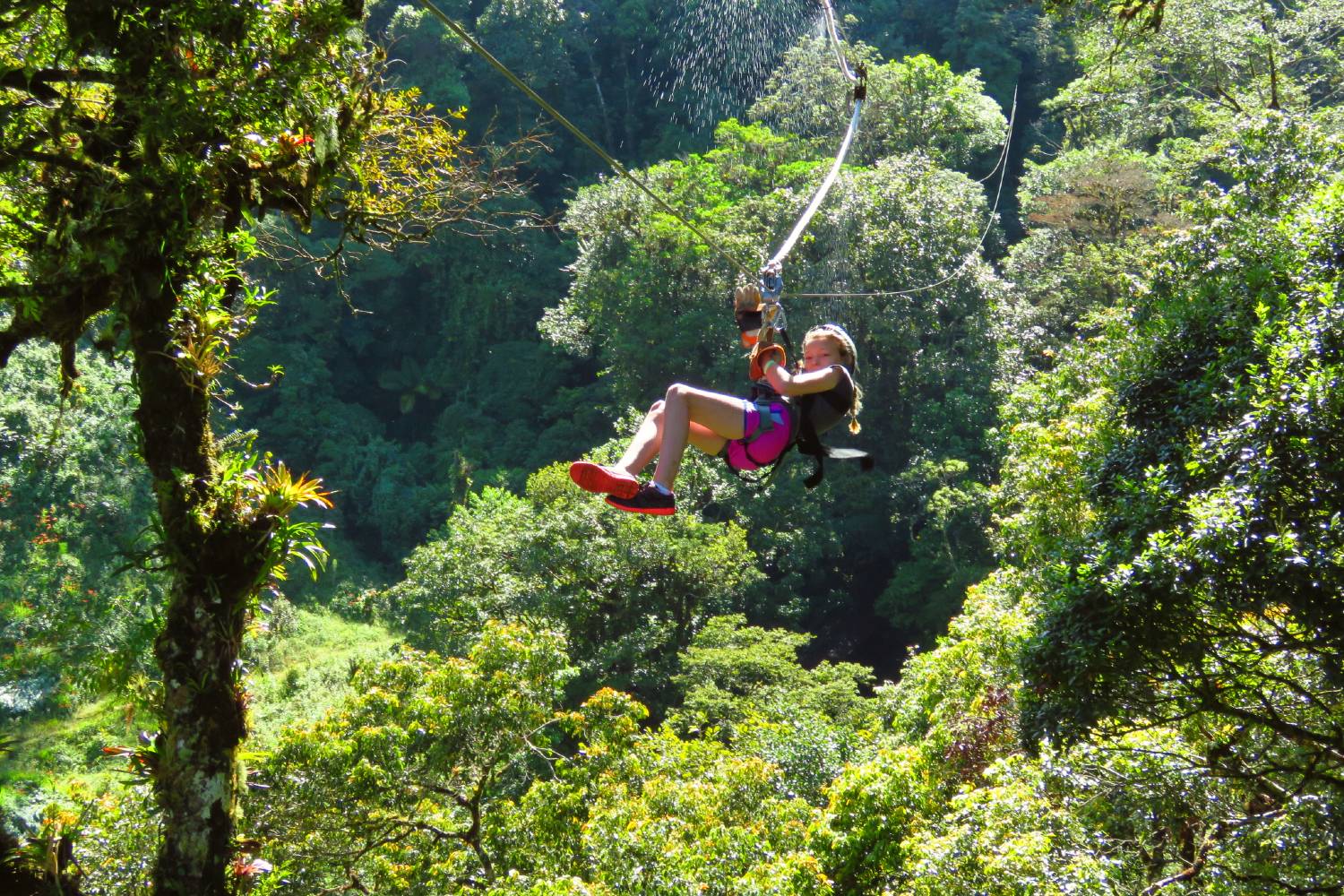 Tour de Canopy – Boquete Tree Trek