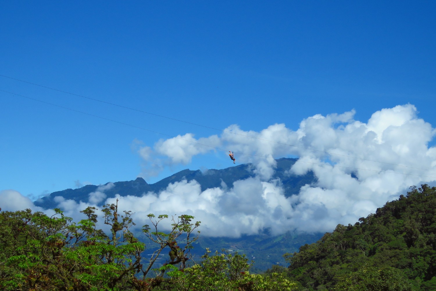 Tour de Canopy – Boquete Tree Trek