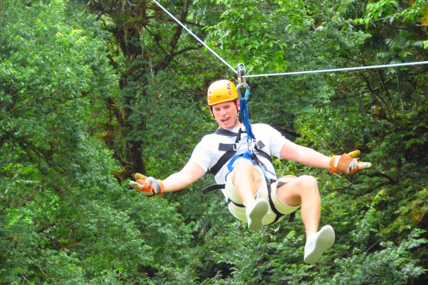 Tour de Canopy – Boquete Tree Trek
